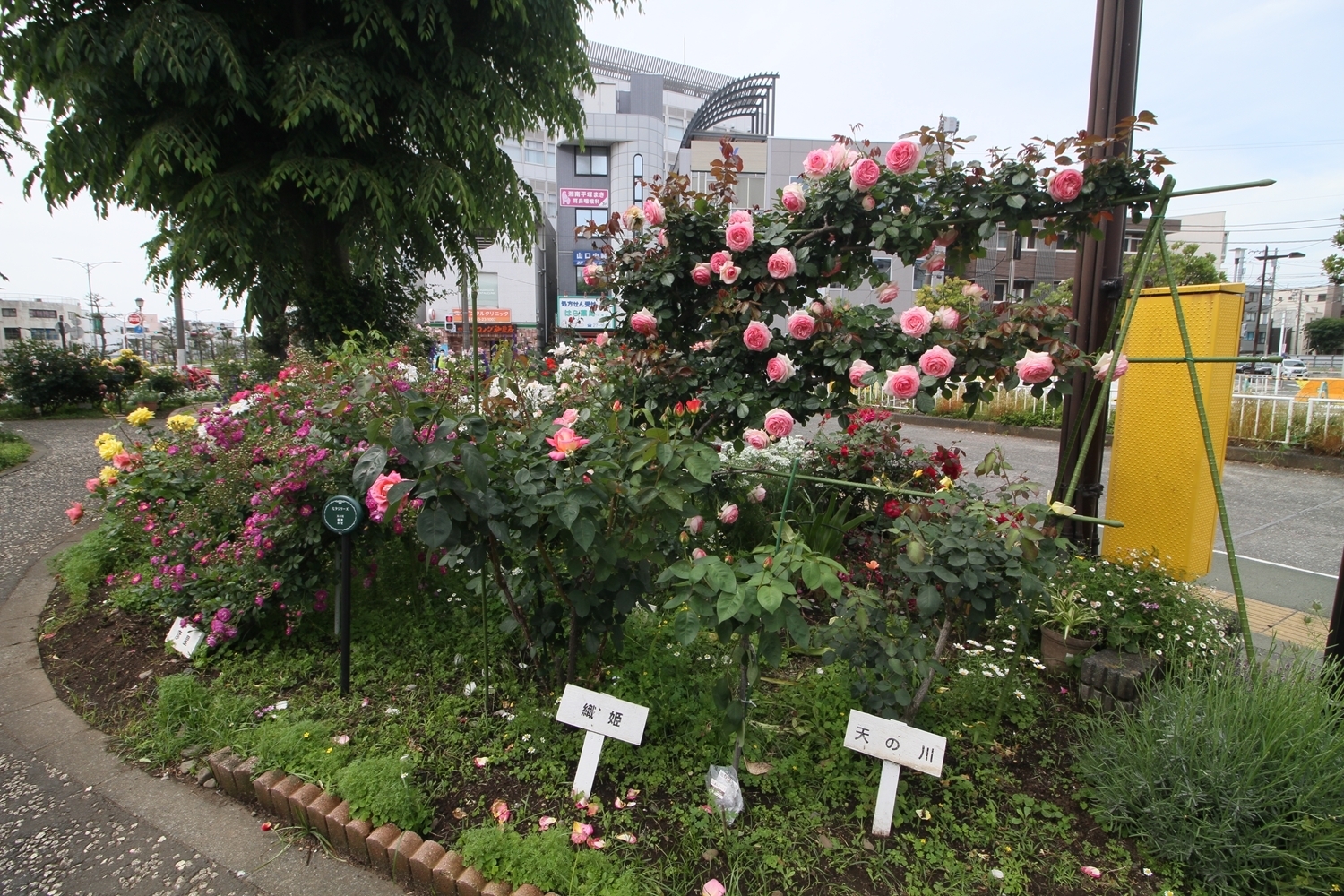 平塚駅南口噴水広場: 神奈川探訪